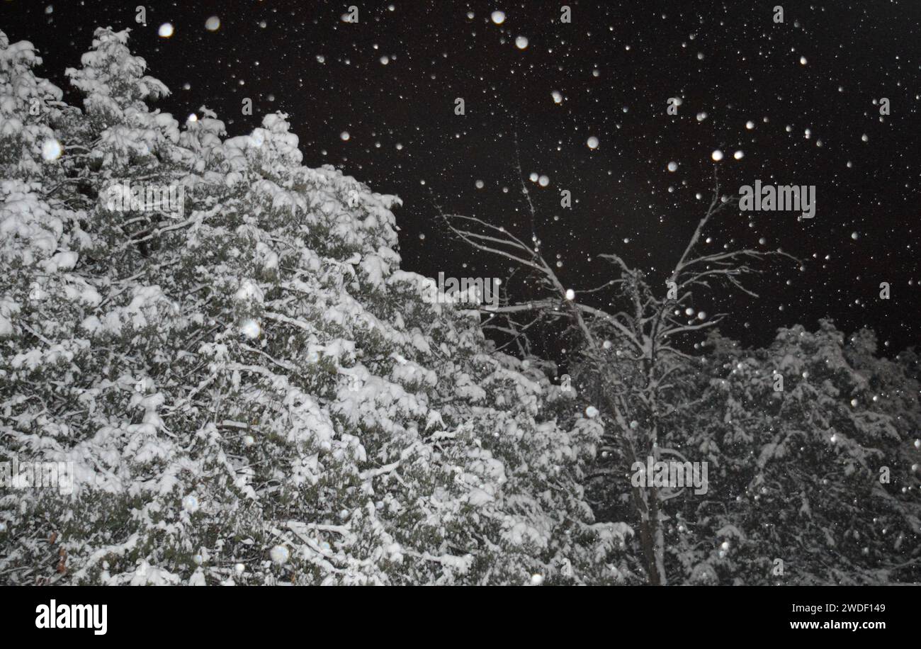 A beautiful landscape photo of a light snow falling on a Winter evening ...