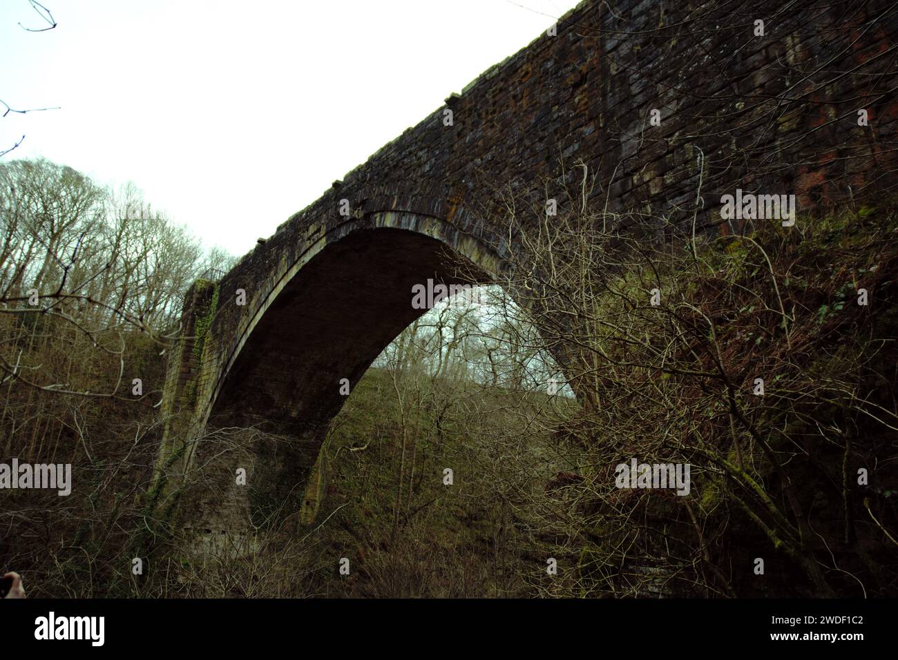 Causey arch hi-res stock photography and images - Alamy