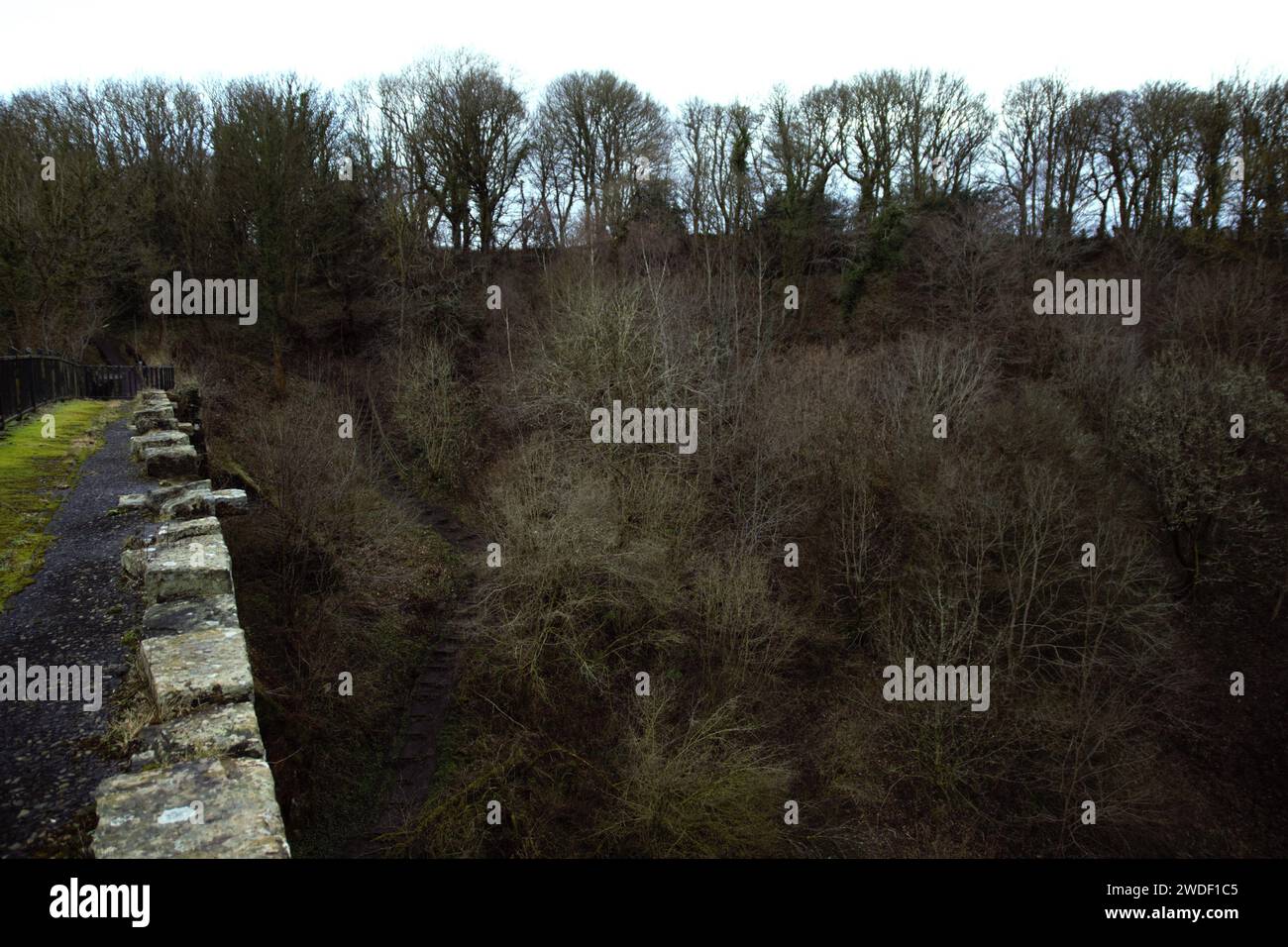 The Causey Arch is a bridge, Stanley, County Durham, is the oldest ...