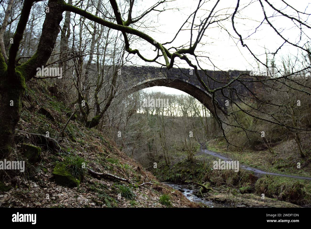 The Causey Arch is a bridge, Stanley, County Durham, is the oldest ...