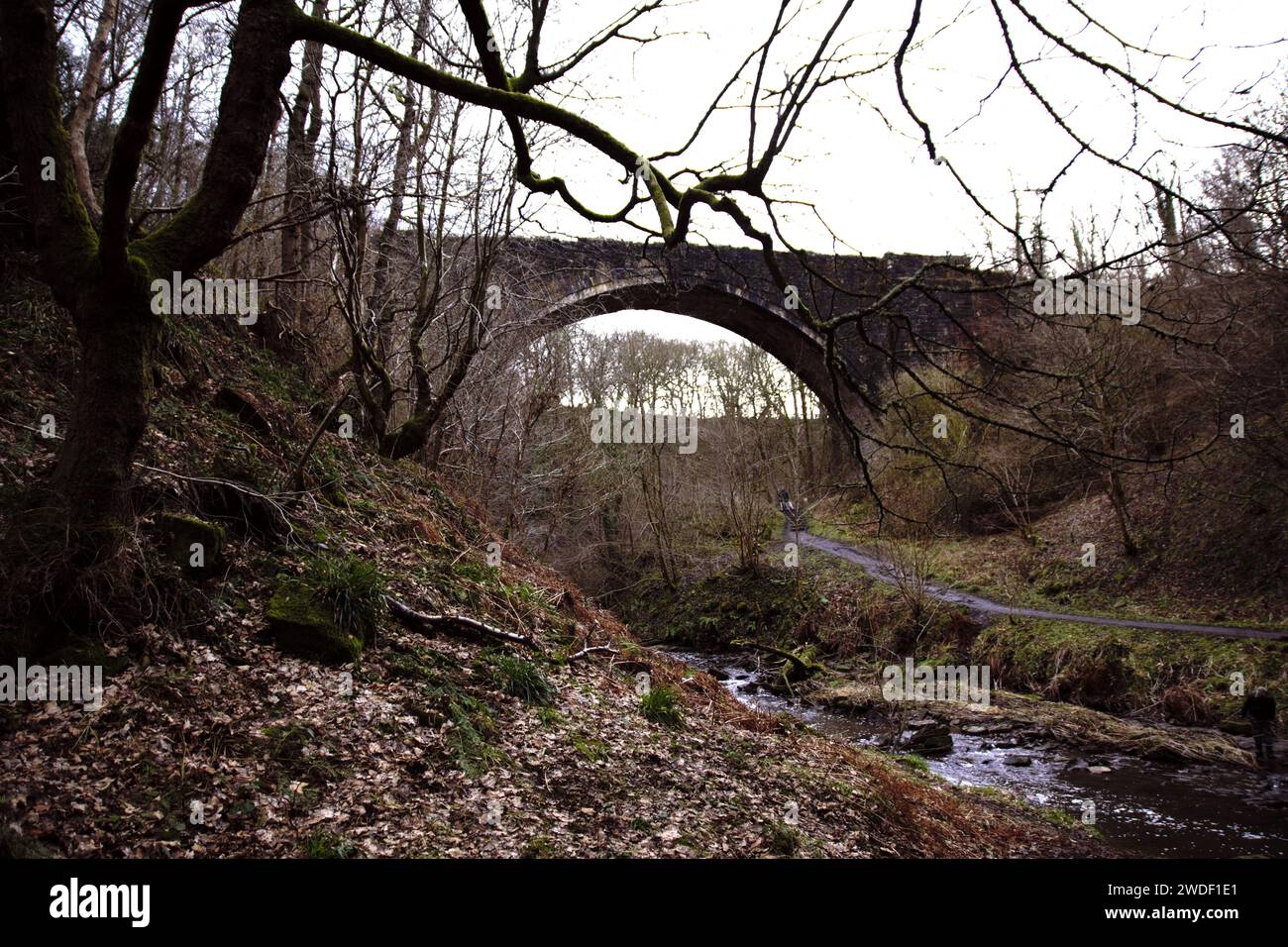 The Causey Arch is a bridge, Stanley, County Durham, is the oldest ...
