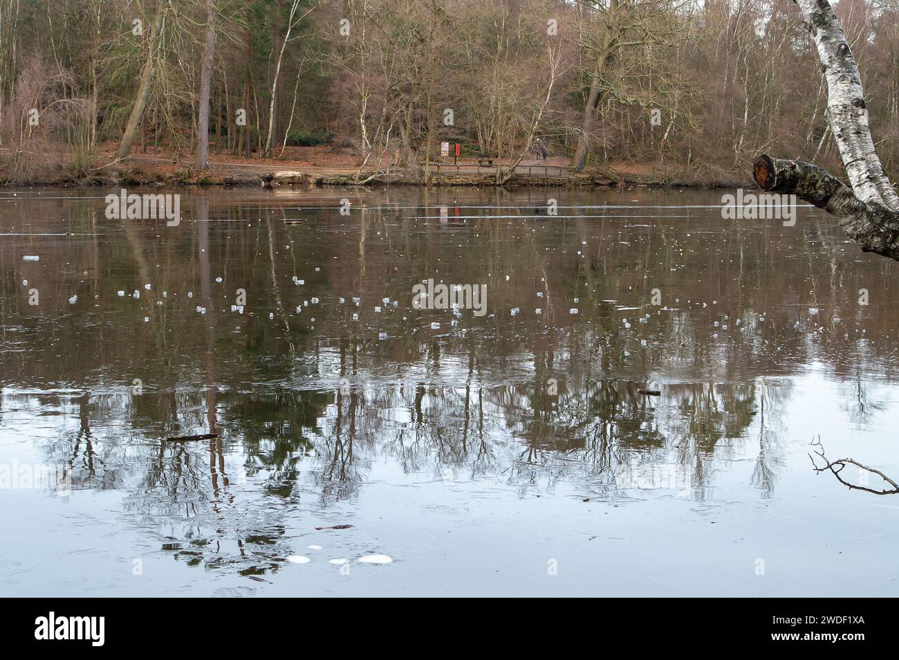 Black park country park hi-res stock photography and images - Alamy