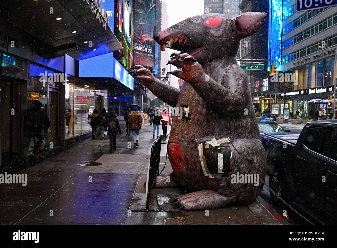 A giant inflatable rat stands outside a building on Broadway on January ...