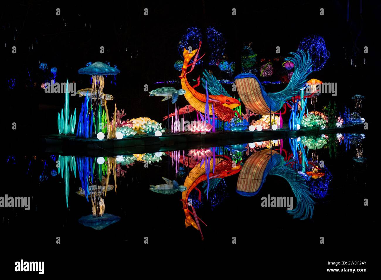 Zoolumination Float @ Nashville Zoo Stock Photo - Alamy