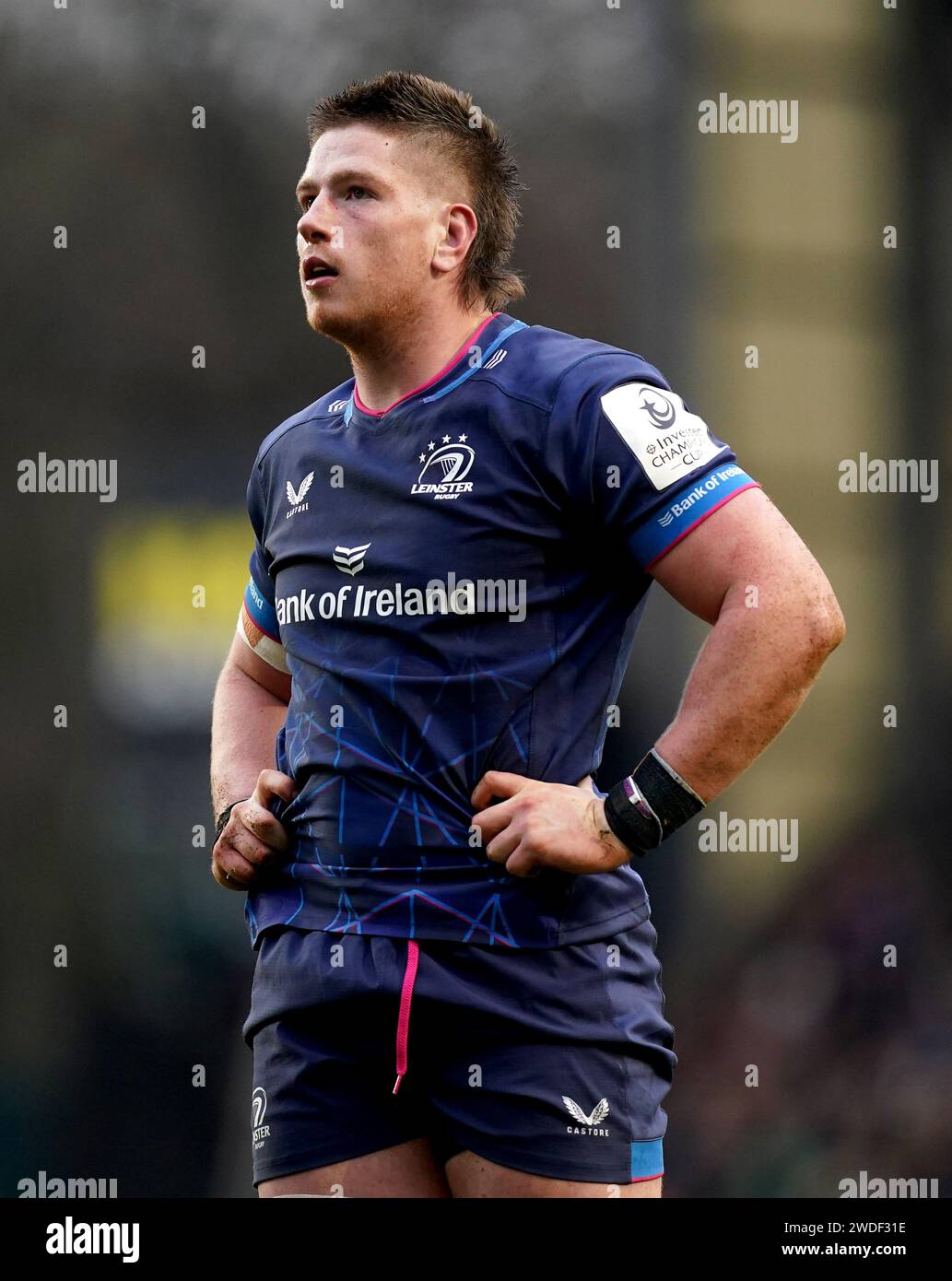 Leinster Rugby's Joe McCarthy during the Investec Champions Cup match ...