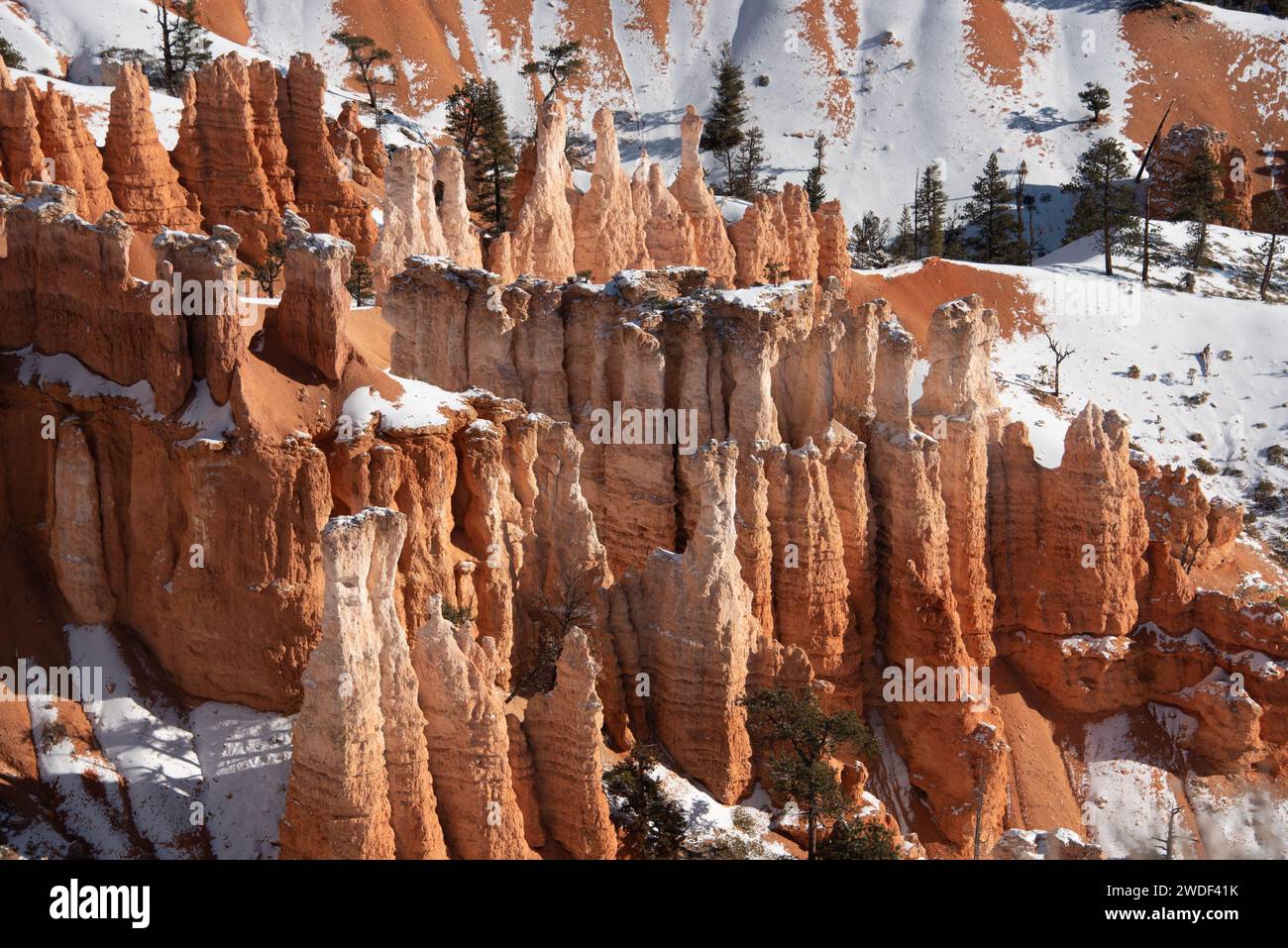 Rustic Roots Stock Photography Stock Photo - Alamy