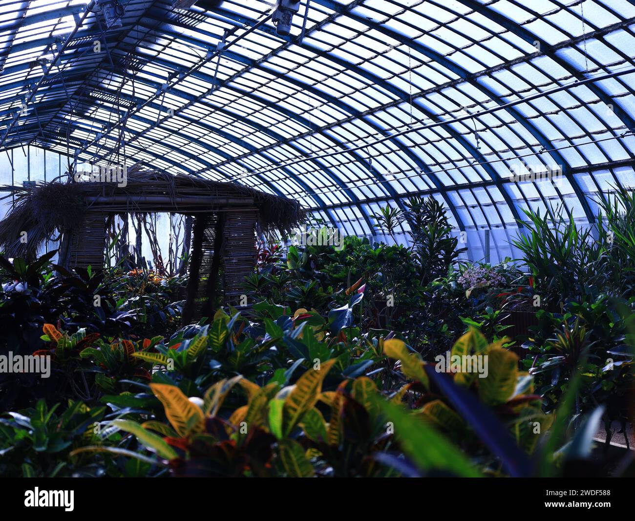 The Garden of the Greenhouses of Auteuil is a botanical garden set ...