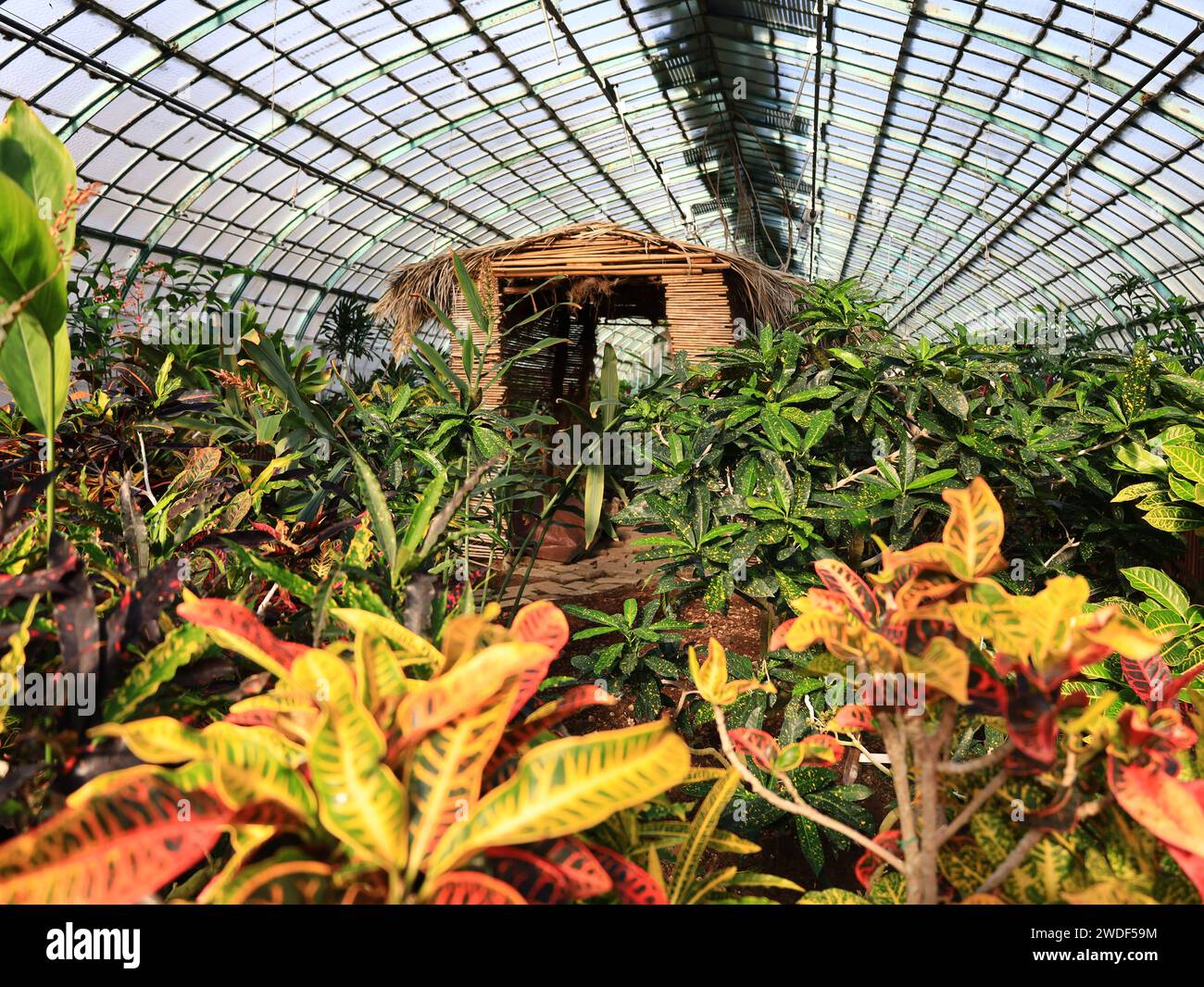 The Garden of the Greenhouses of Auteuil is a botanical garden set ...