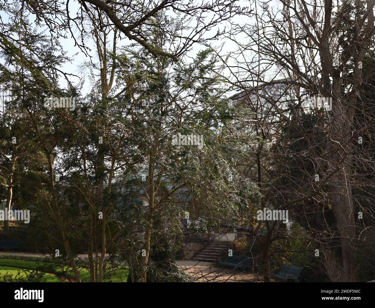 The Garden of the Greenhouses of Auteuil is a botanical garden set ...
