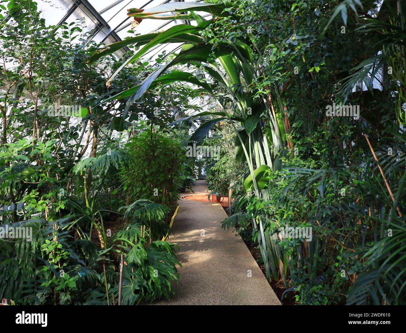 The Garden of the Greenhouses of Auteuil is a botanical garden set ...
