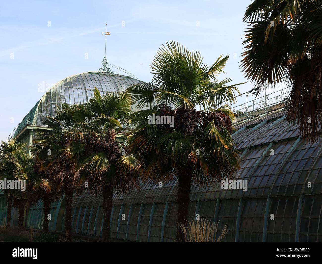 The Garden of the Greenhouses of Auteuil is a botanical garden set ...