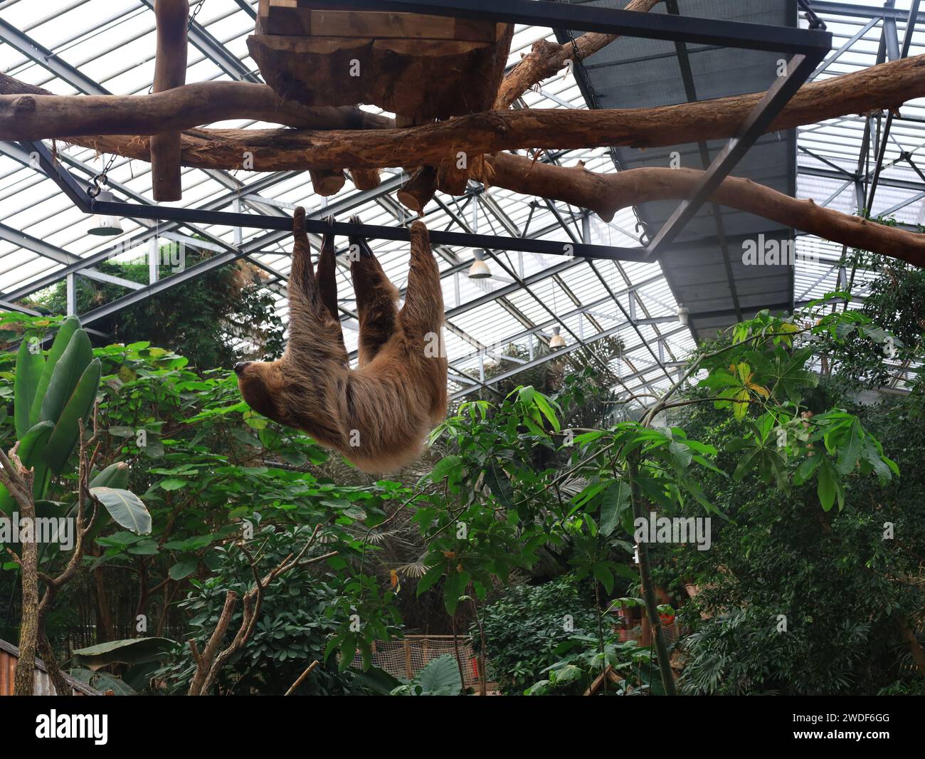 The Biotropica animal gardens are a French zoological park of Normandy ...