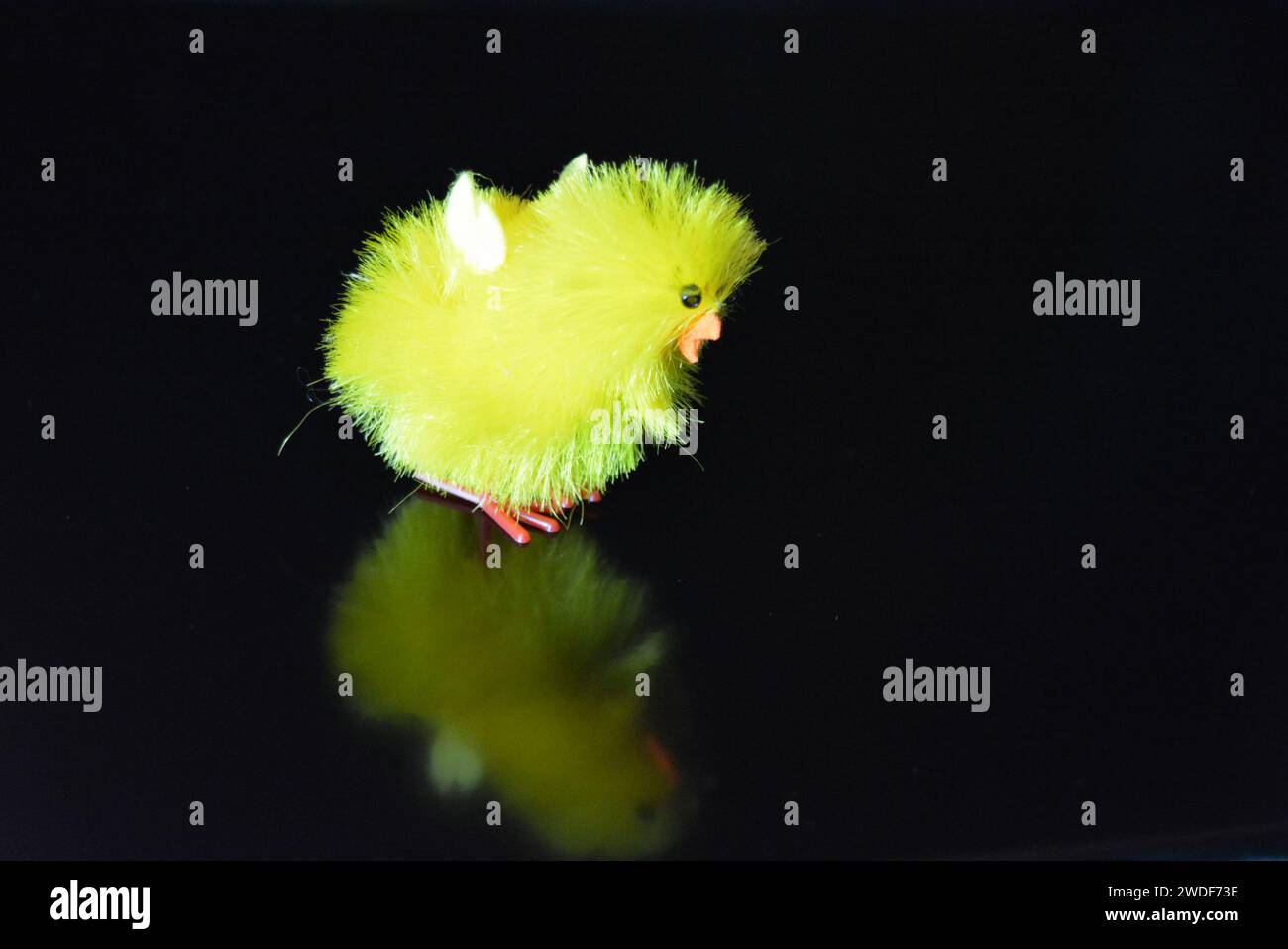 On black glossy background, there is a yellow cloak with reflection ...