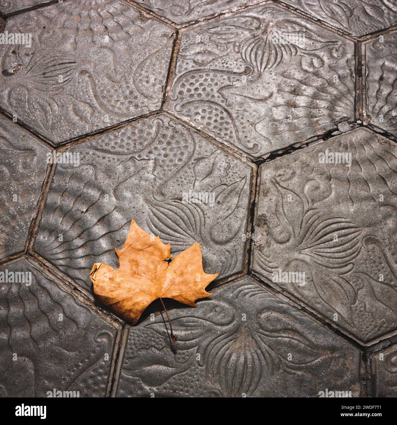 Barcelona gaudi pavement hi-res stock photography and images - Alamy