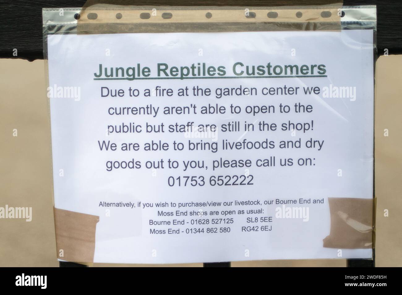 Iver bucks hi-res stock photography and images - Alamy