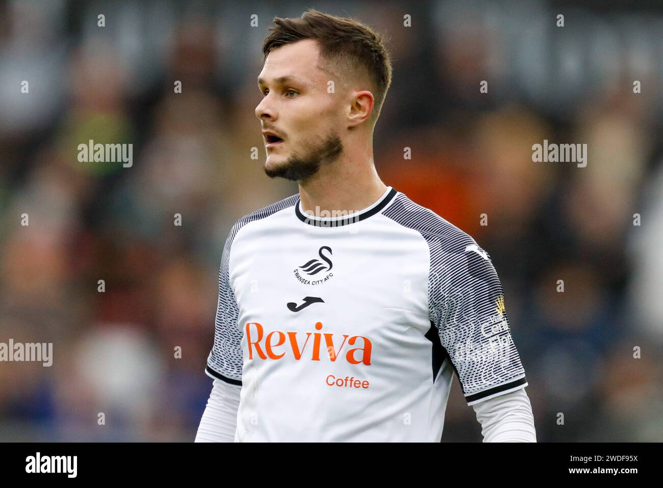 Swansea city liam cullen southampton hi-res stock photography and ...