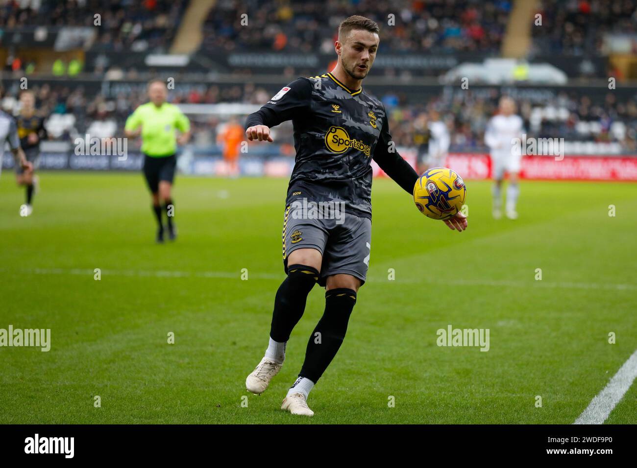 Harwood bellis southampton hi-res stock photography and images - Alamy