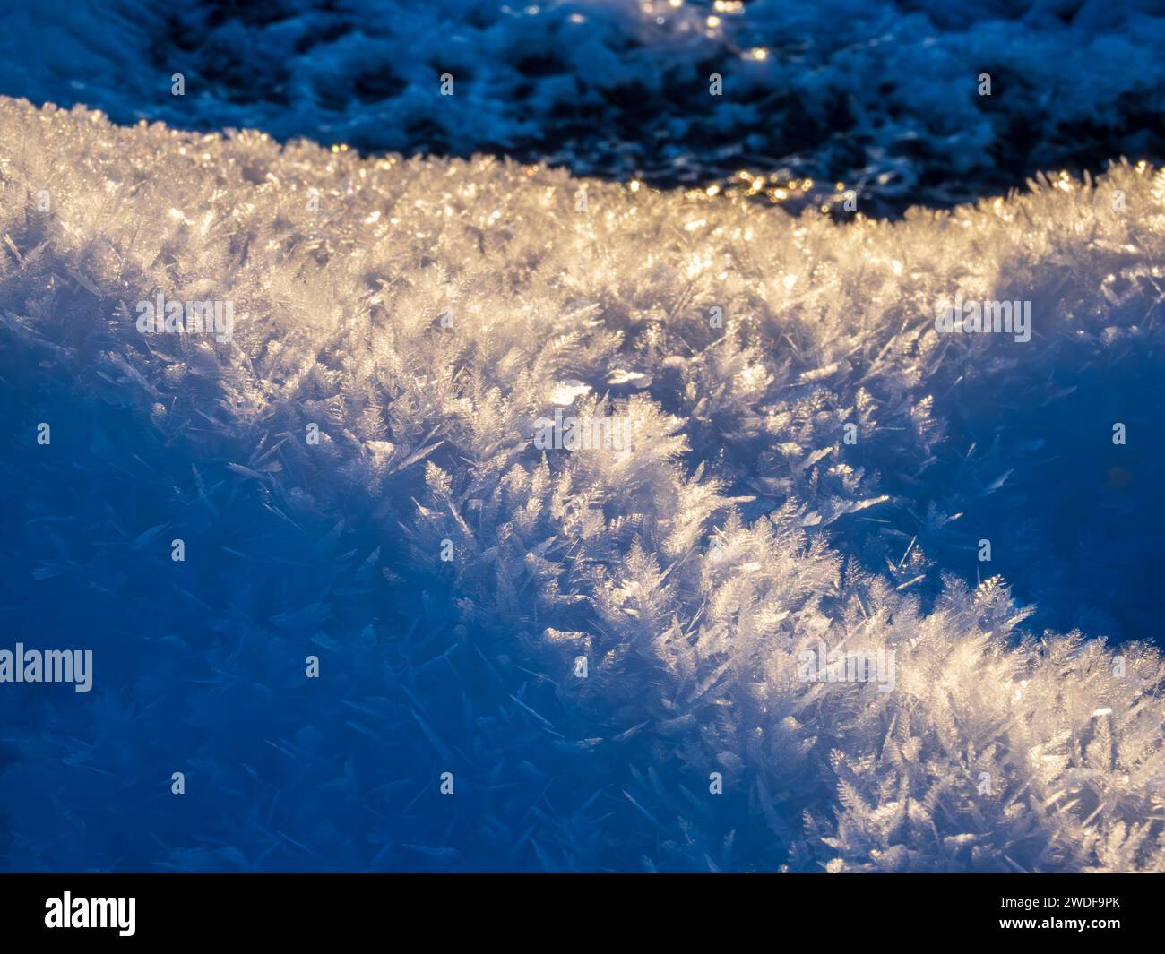 Hoar frost patterns in Ambleside, Lake District, UK Stock Photo - Alamy