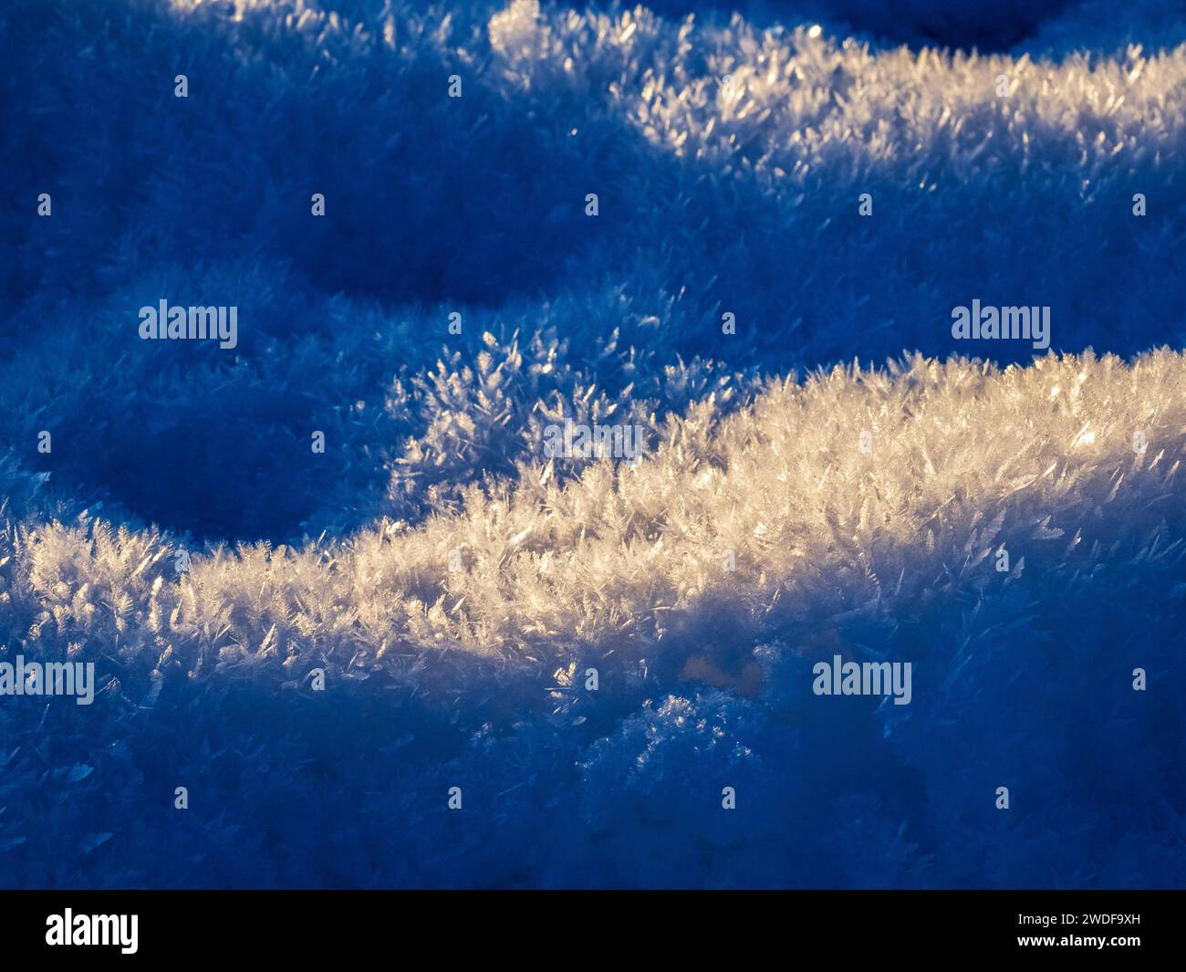 Hoar frost patterns in Ambleside, Lake District, UK Stock Photo - Alamy