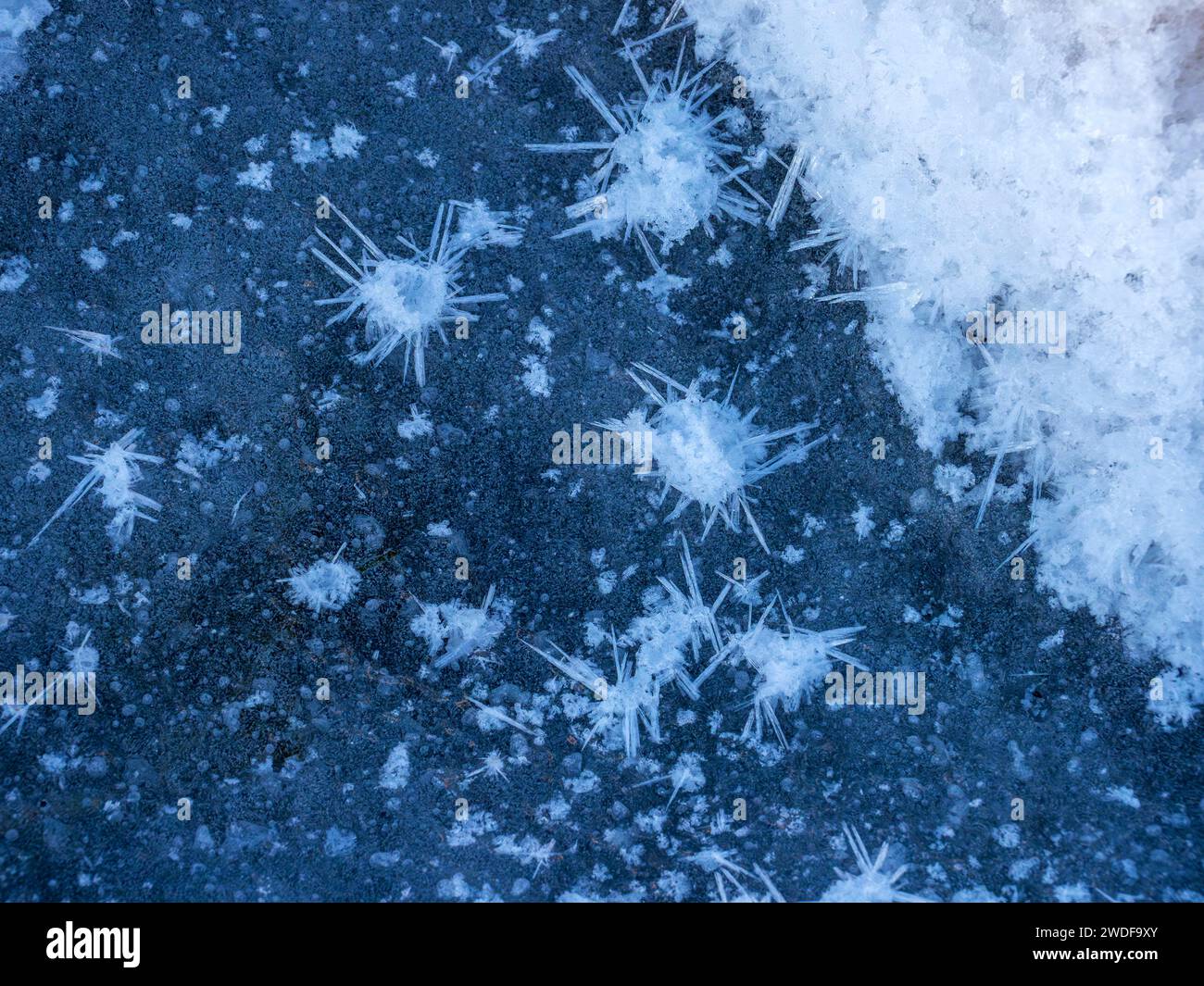 Needle ice in Ambleside, Lake District, UK Stock Photo - Alamy