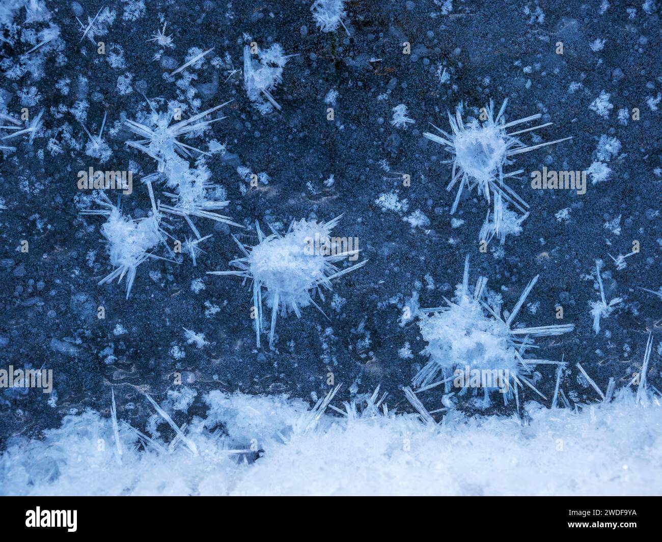 Needle ice in Ambleside, Lake District, UK Stock Photo - Alamy