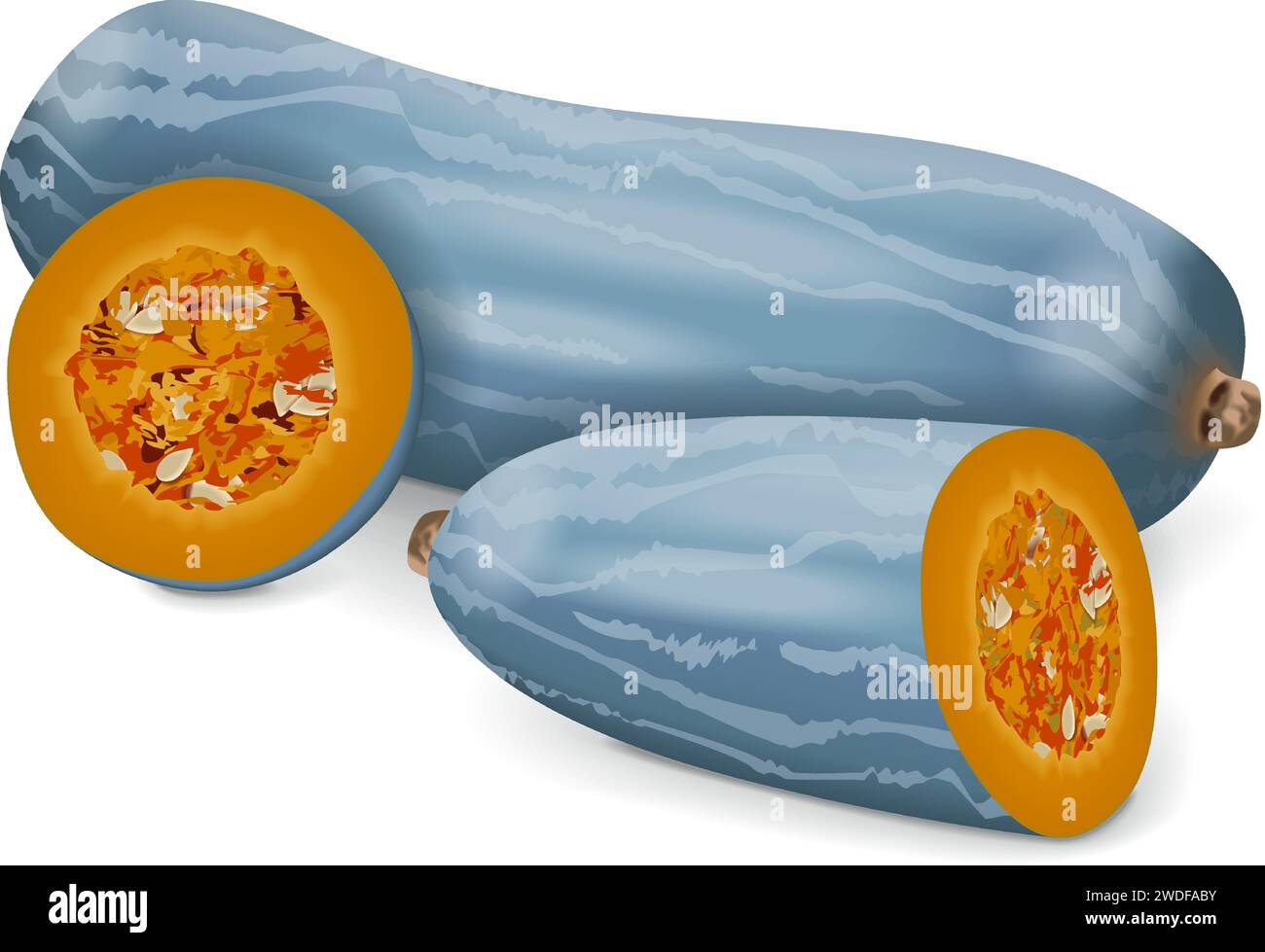 Whole and chopped Guatemalan Blue Banana squash. Winter squash ...