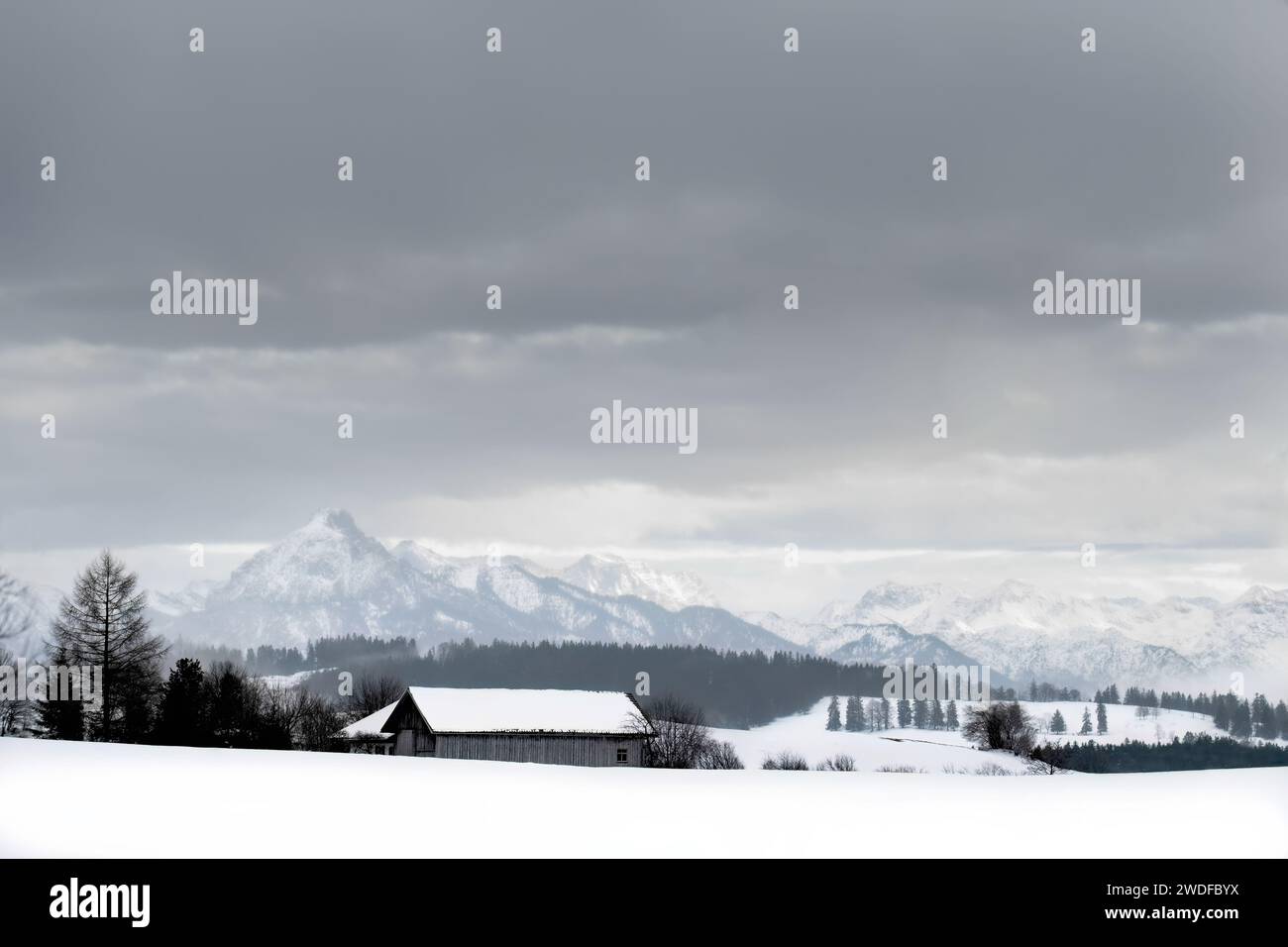 A single hut covered with snow in a winter landscape with the Alps in ...