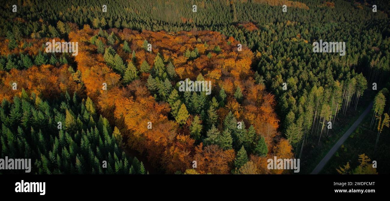 autumn landscape 5k Stock Photo - Alamy