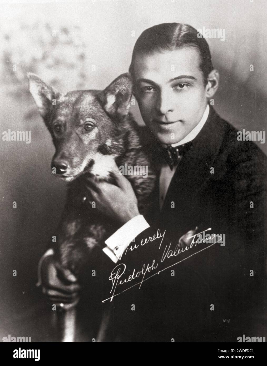 Rudolph Valentino and his dog - fan photo with autograph, 1920s Stock ...