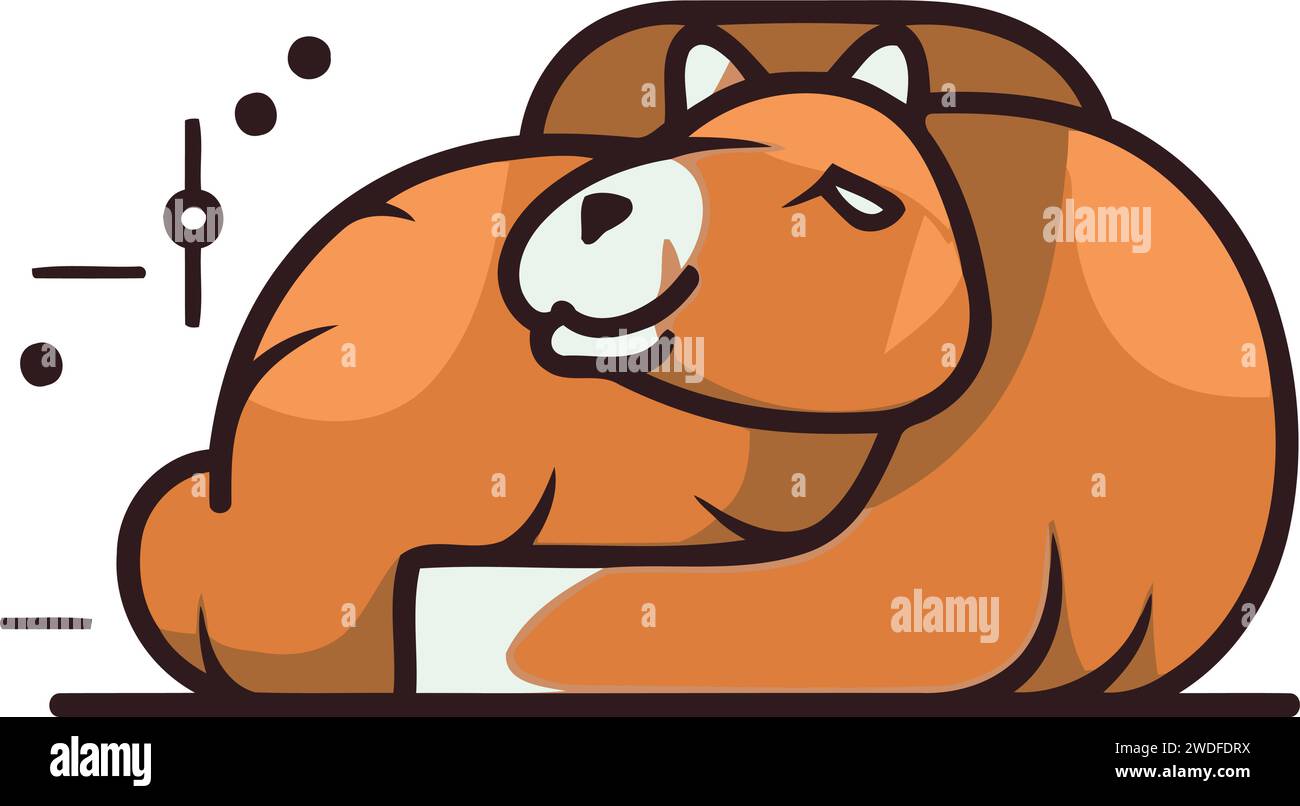 Camel sleeping hi-res stock photography and images - Alamy