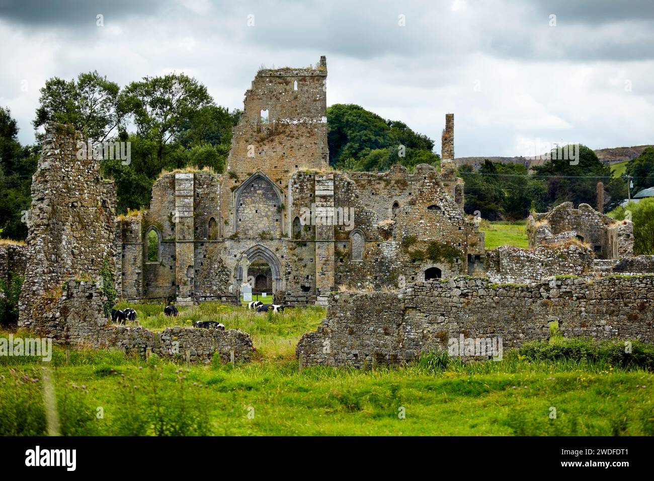 The ruins of Athassel Priory, County Tipperary, Ireland Stock Photo - Alamy
