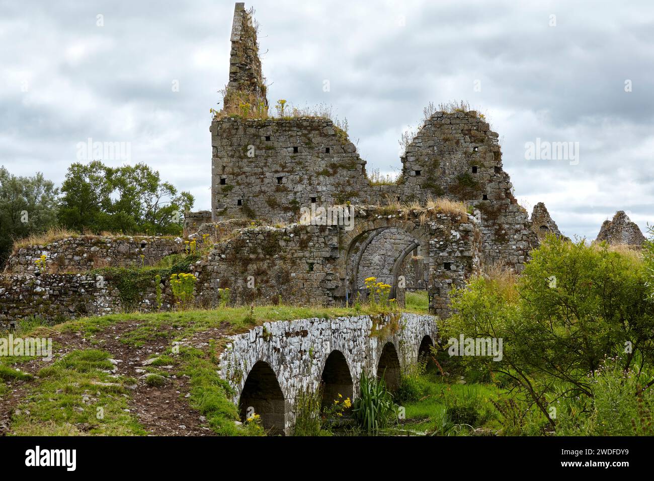 The ruins of Athassel Priory, County Tipperary, Ireland Stock Photo - Alamy