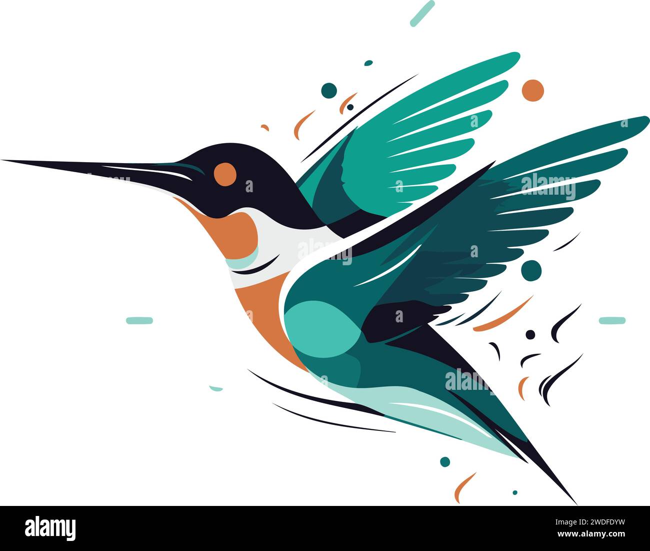 Flying kingfisher bird hi-res stock photography and images - Alamy