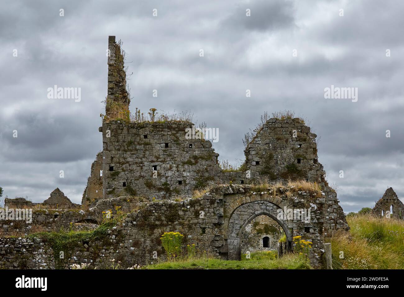 The ruins of Athassel Priory, County Tipperary, Ireland Stock Photo - Alamy