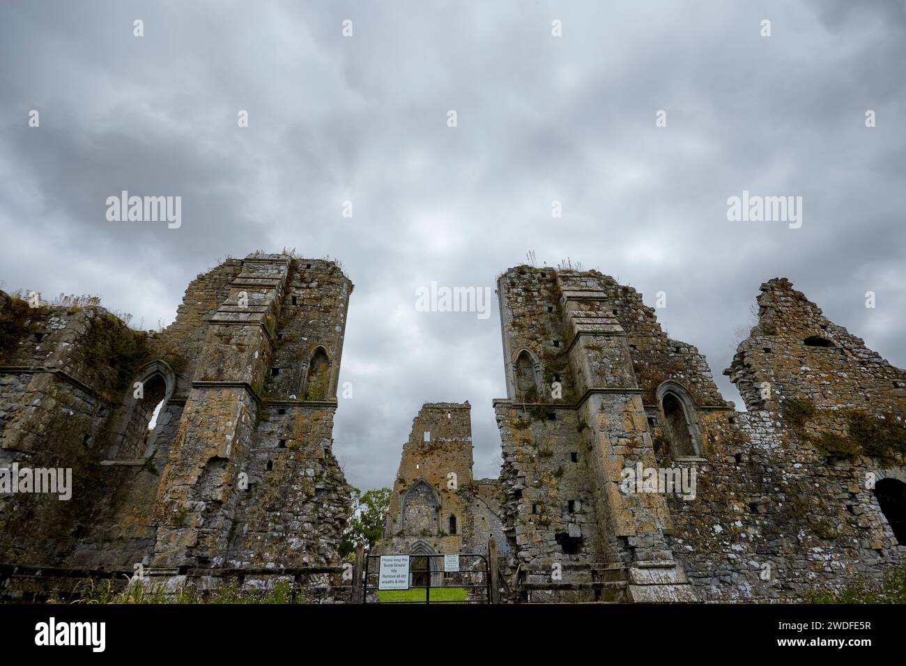 The ruins of Athassel Priory, County Tipperary, Ireland Stock Photo - Alamy
