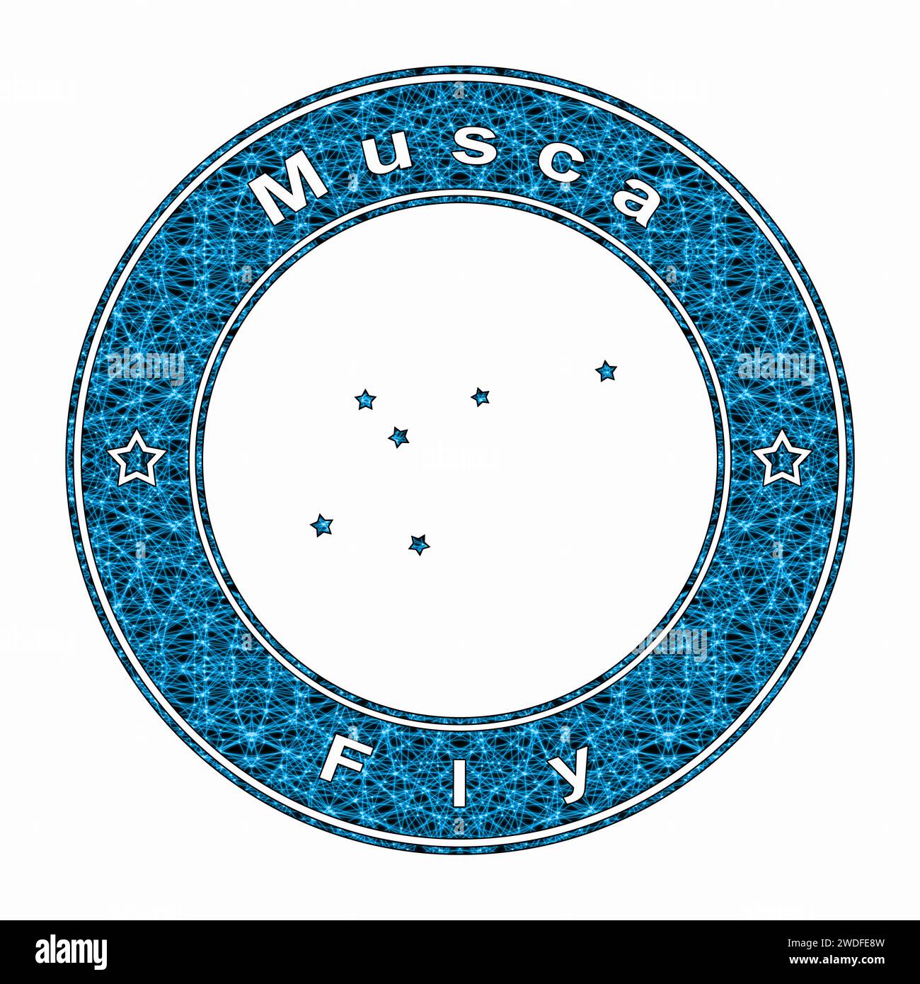 Musca Star Constellation, Cluster of Stars, Fly Constellation Stock ...