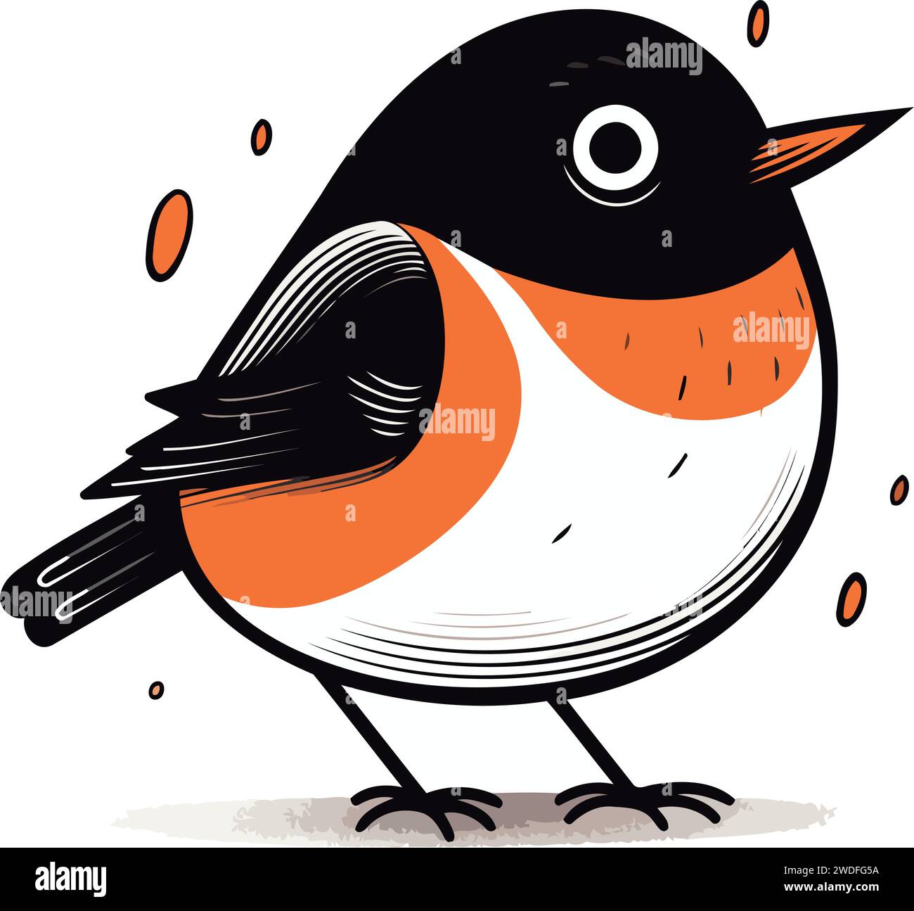 Cartoon funny robin bird on hi-res stock photography and images - Alamy