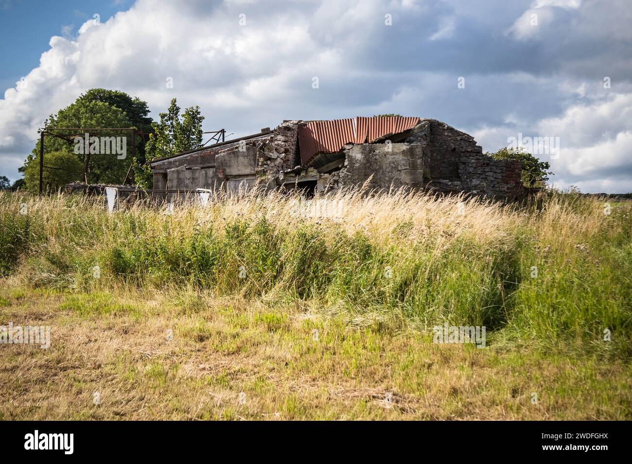 Motsons farm hi-res stock photography and images - Alamy