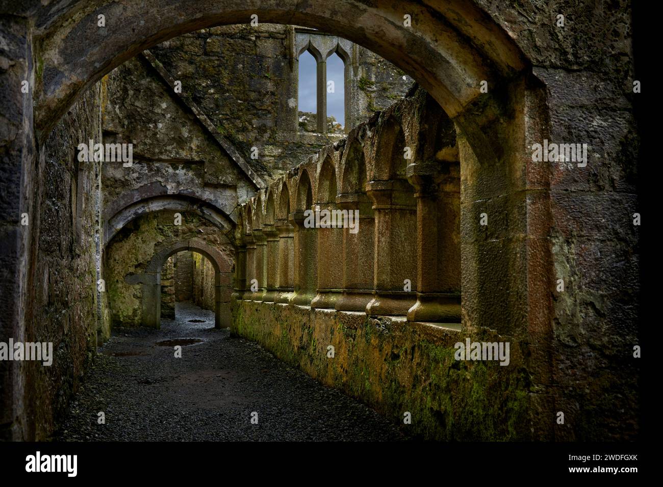 The cloister at Ross Errilly Friary, County Galway, Ireland Stock Photo ...