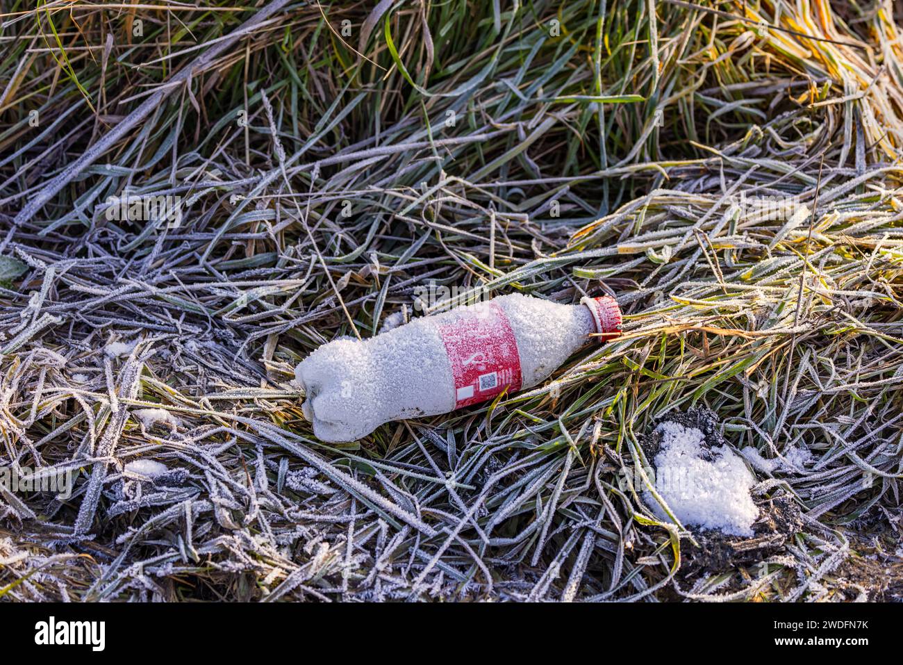 A plastic bottle frozen with ice crystals lies in nature in a meadow in ...
