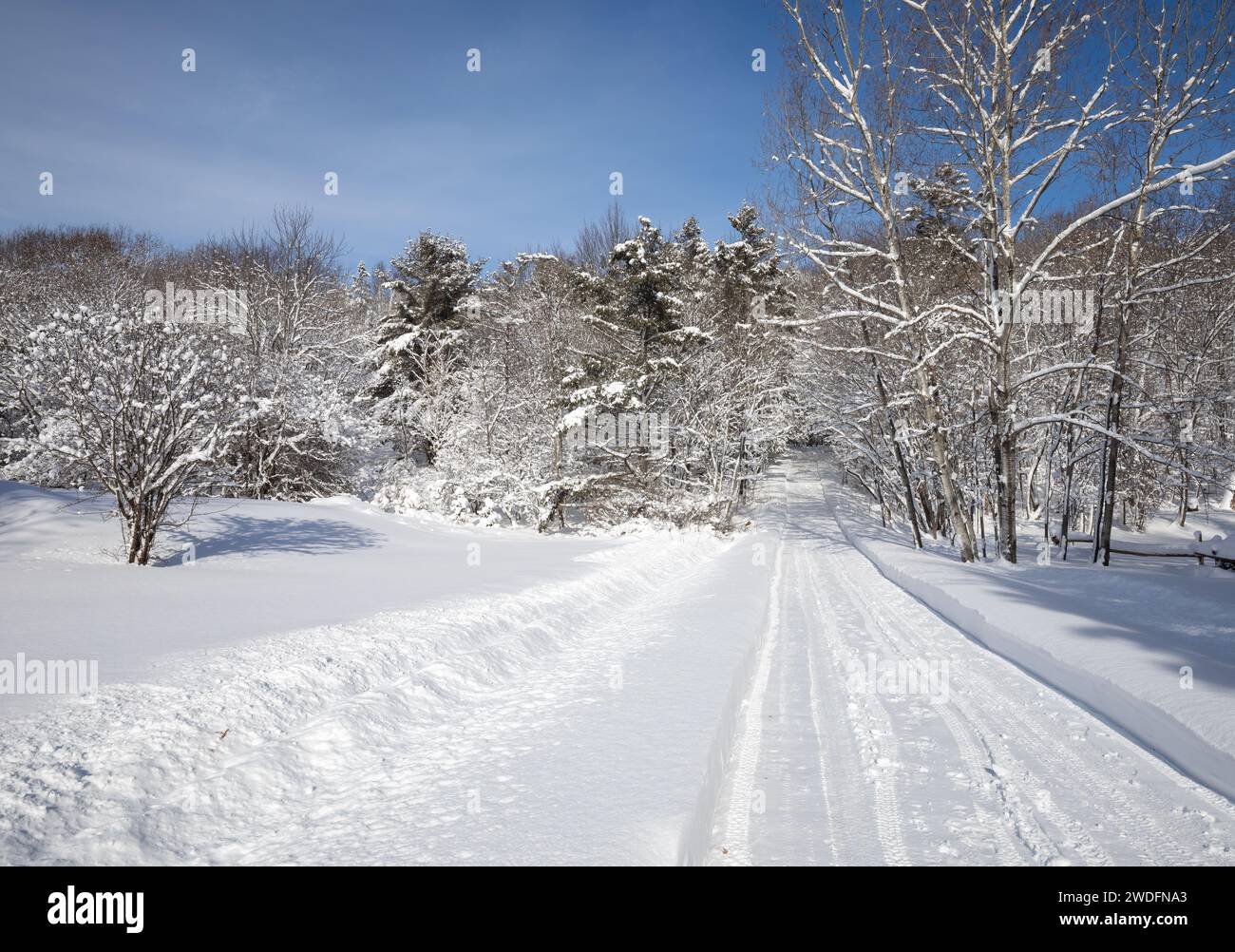 Tire tracks in a snowy lane in Muskoka Ontario Stock Photo - Alamy