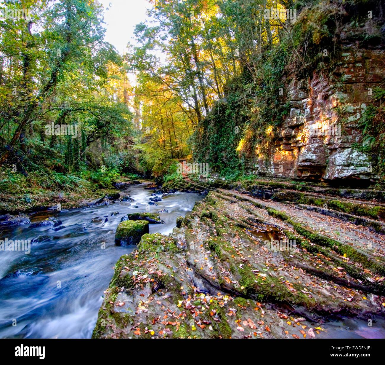 Clare Glens, County Limerick, Ireland Stock Photo - Alamy