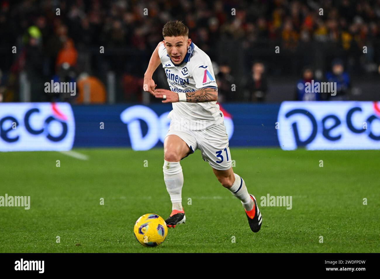 Suslov hi-res stock photography and images - Alamy