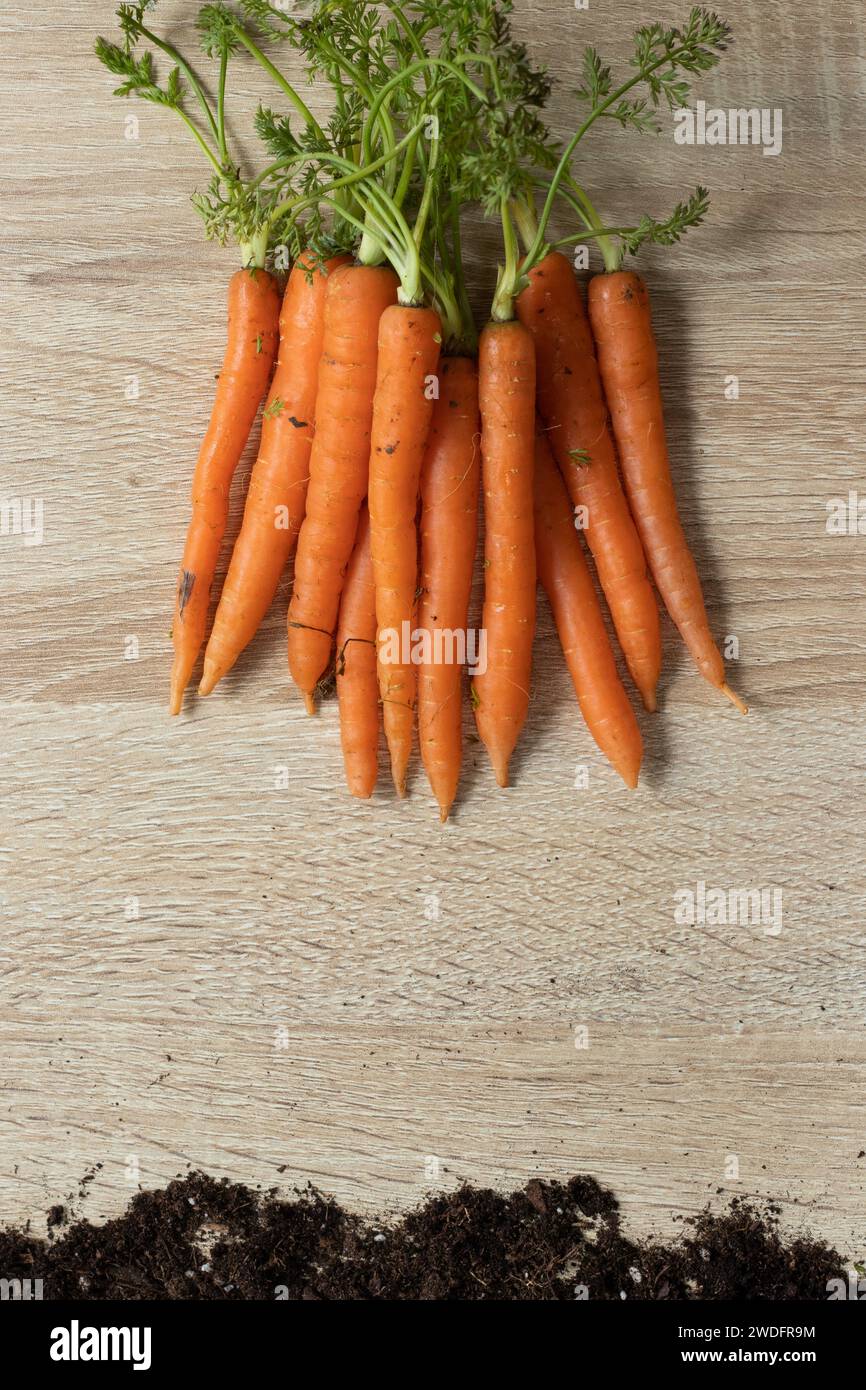 Creative carrots composition food photography Stock Photo - Alamy