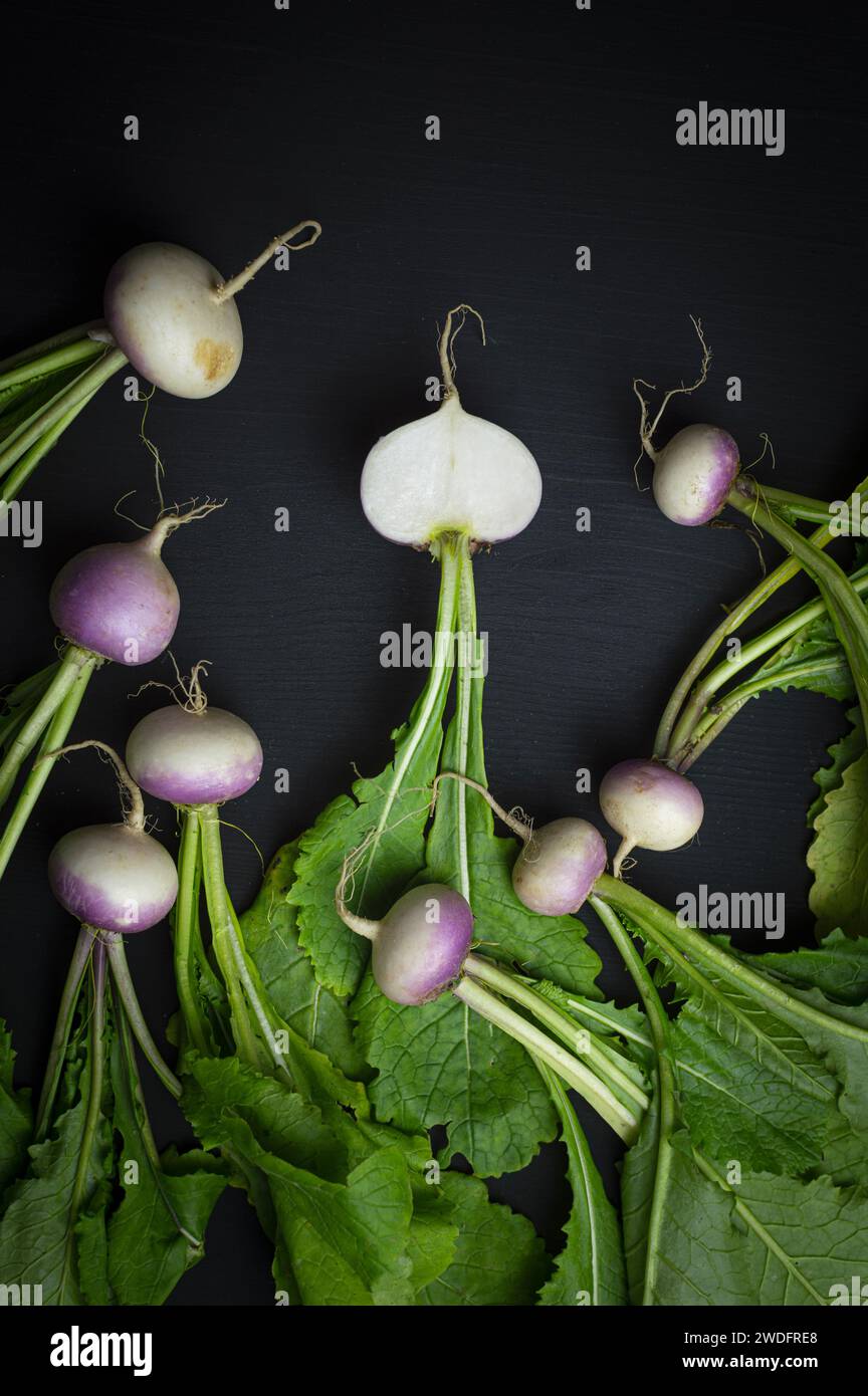 Creative and soft radish photography on black background Stock Photo ...