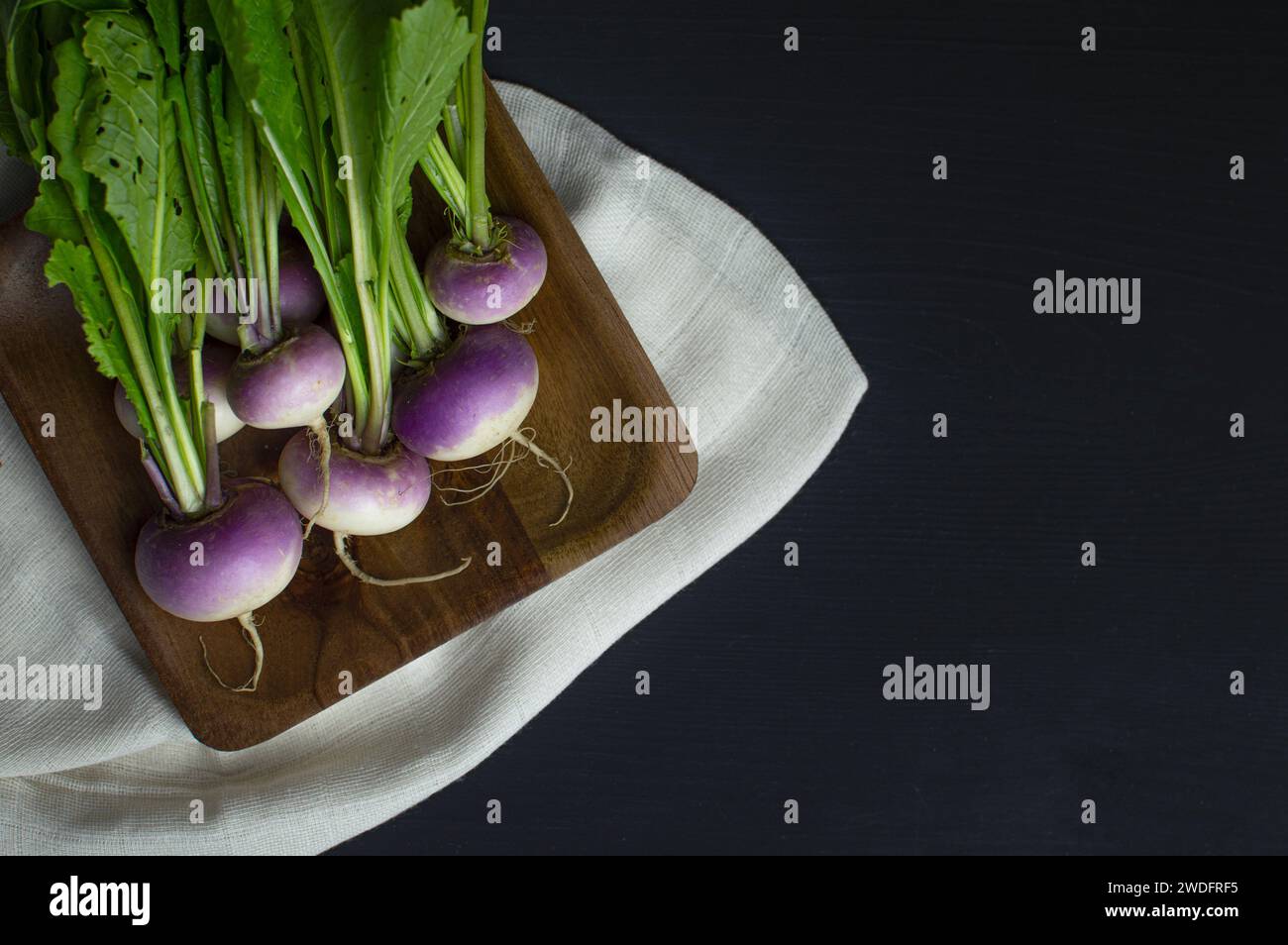 Creative and soft radish photography on black background Stock Photo ...