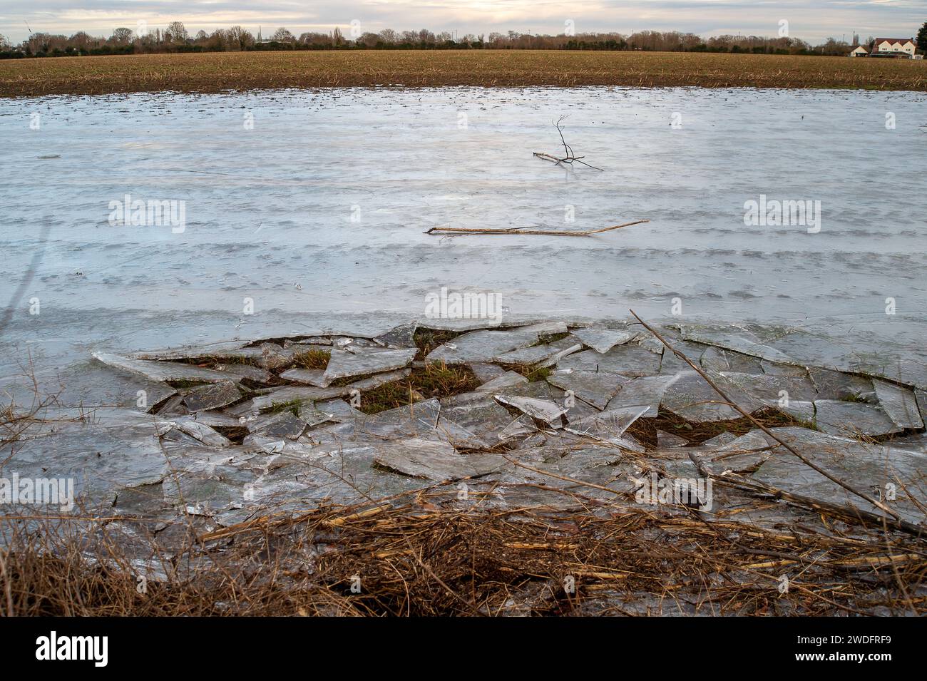 Datchet, UK. 20th January, 2024. Following flooding from the River ...