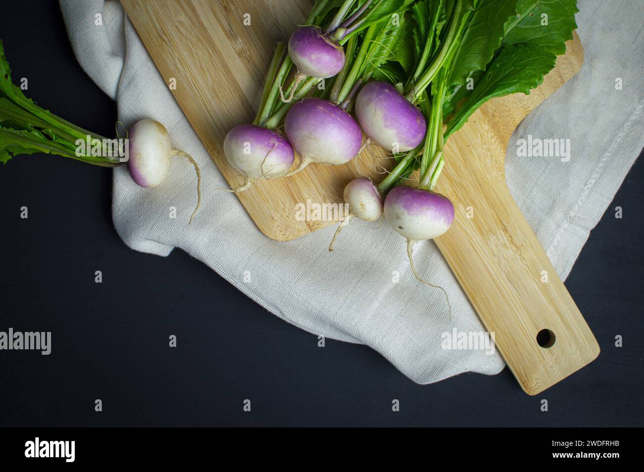 Creative and soft radish photography on black background Stock Photo ...