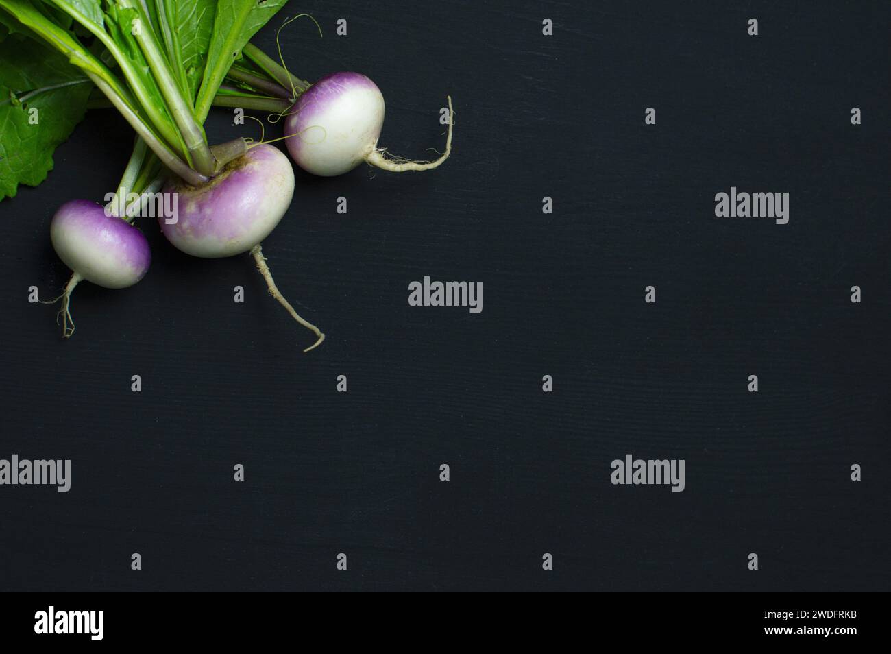 Creative and soft radish photography on black background Stock Photo ...