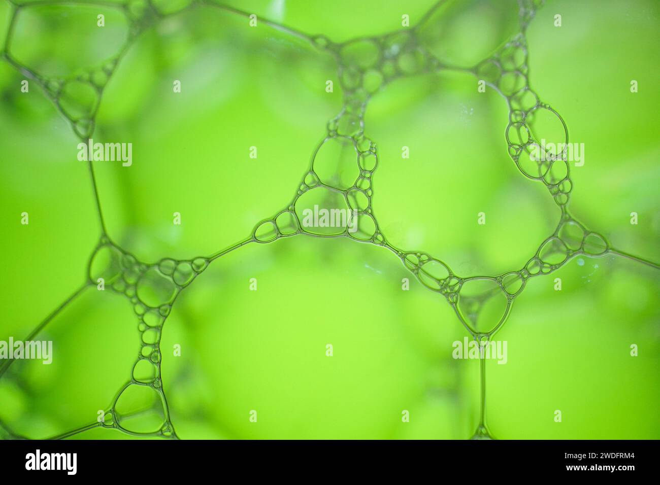 green soap bubbles, green abstract background Stock Photo - Alamy